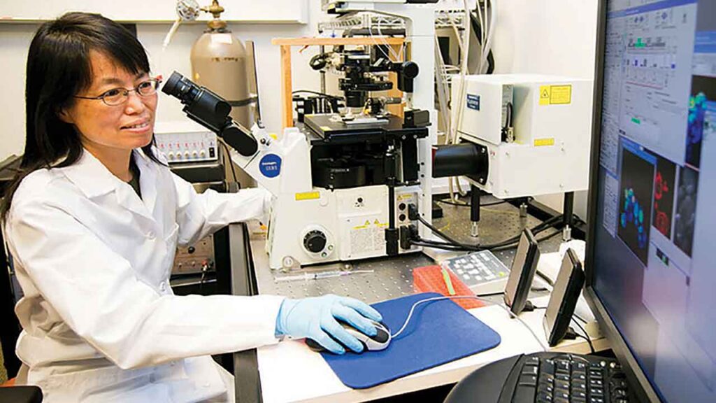 Cardiac Cell Quality in Microgravity