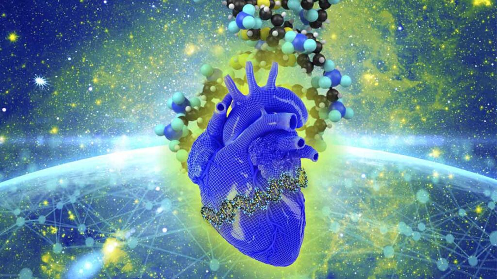 Innovation in Focus: Heartfelt Research - ISS National Lab