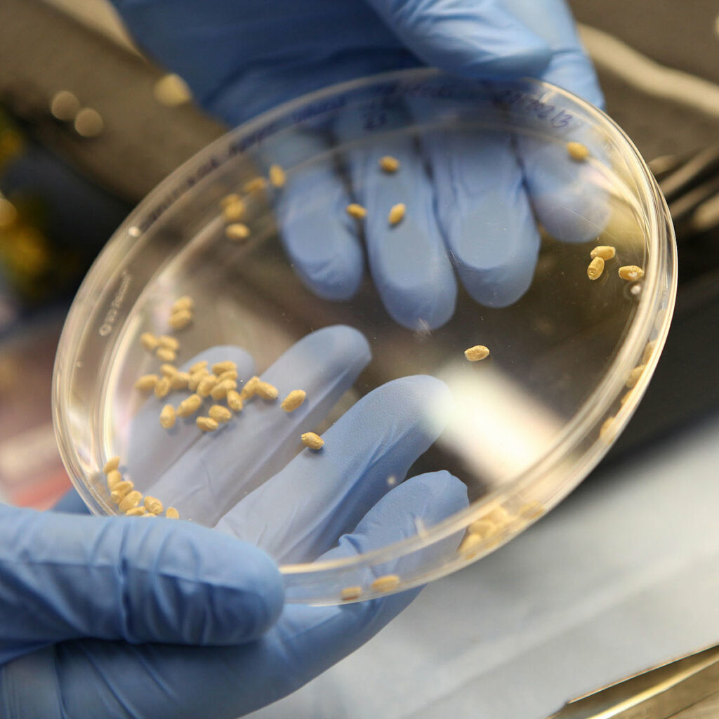 Advanced Plant Habitat Installed on the ISS