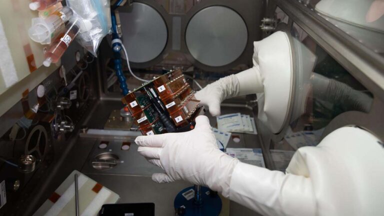 Stem Cells - ISS National Lab