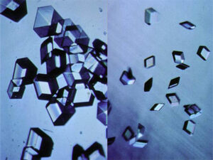 Crystal Growth in Microgravity