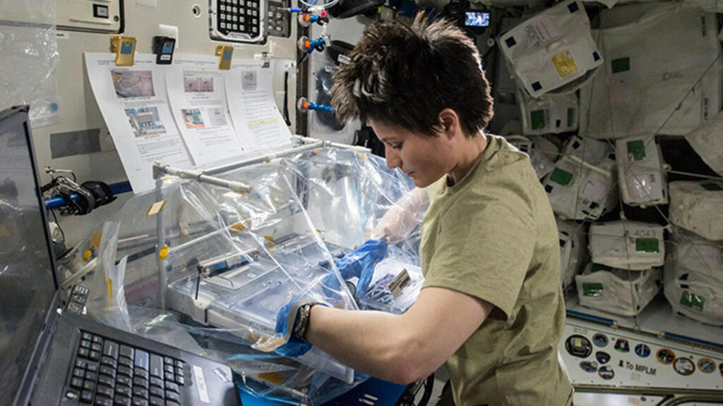 Studying Osteoporosis in Space
