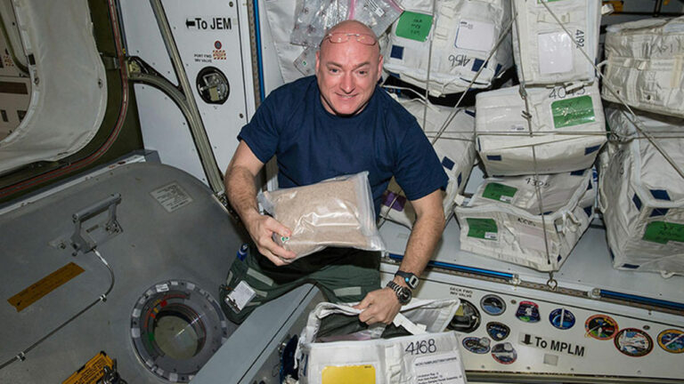 Tomatosphere Seeds Student Curiosity and Exploration