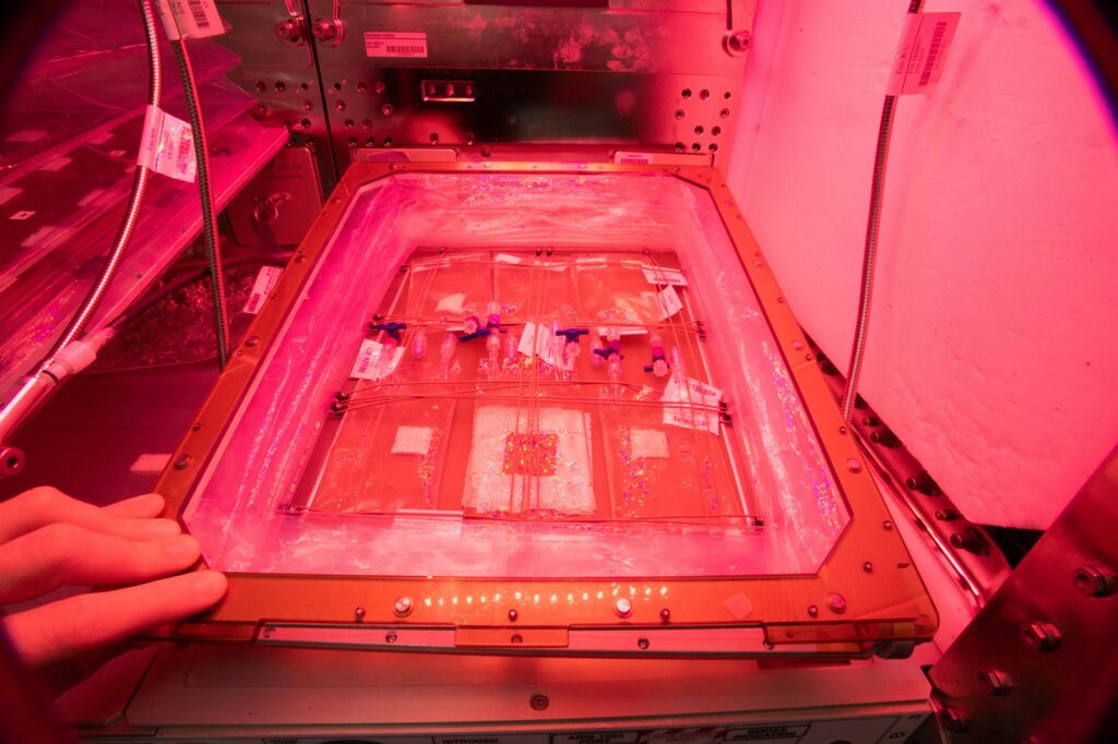 Growing Microalgae in Microgravity aboard the International Space Station