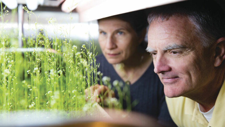 Plant Research On the International Space Station