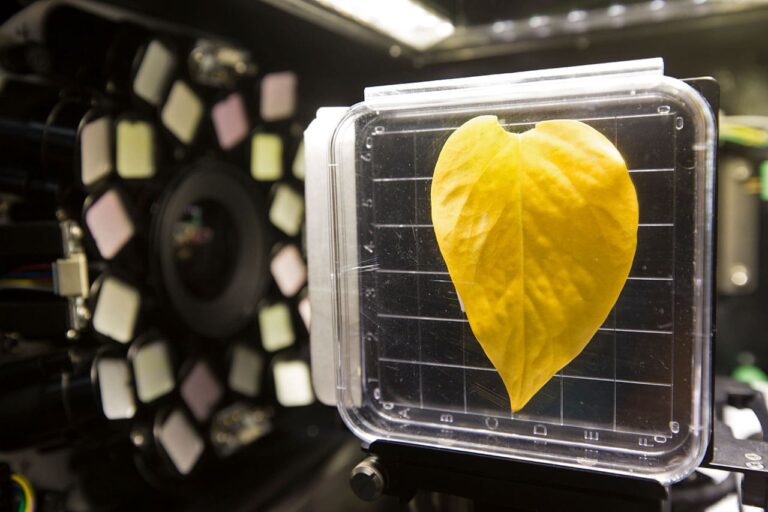 Spectrum - ISS National Lab