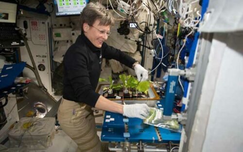 Life Science - ISS National Lab