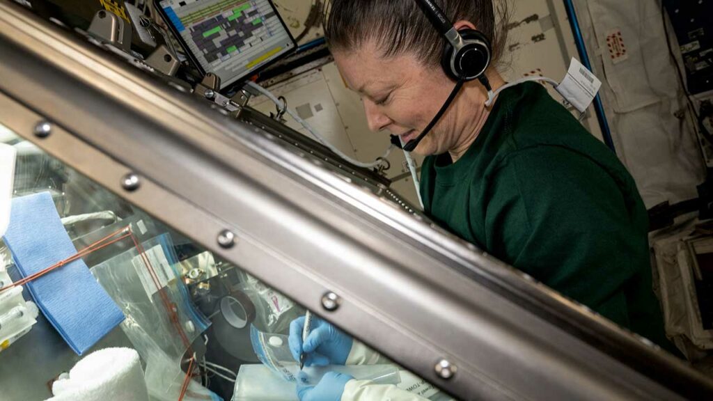 NLRA 2025-1: ISS National Lab Research Announcement For Follow-On ...