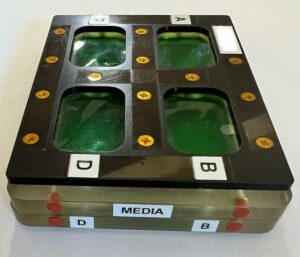 From Viral Villain to Gene Therapy Hero: Assembling 3D Brain Organoids ...