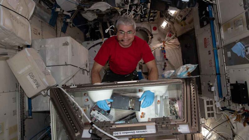 Stem Cells - ISS National Lab