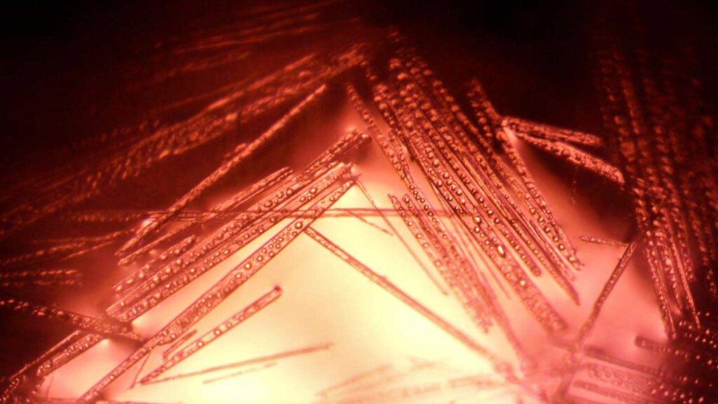 Crystal Growth - ISS National Lab