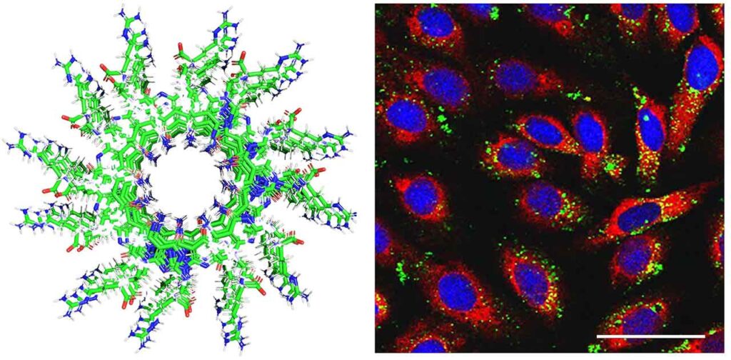 Microgravity Manufacturing: Producing Nanomaterials That Could Revolutionize Medicine - ISS ...